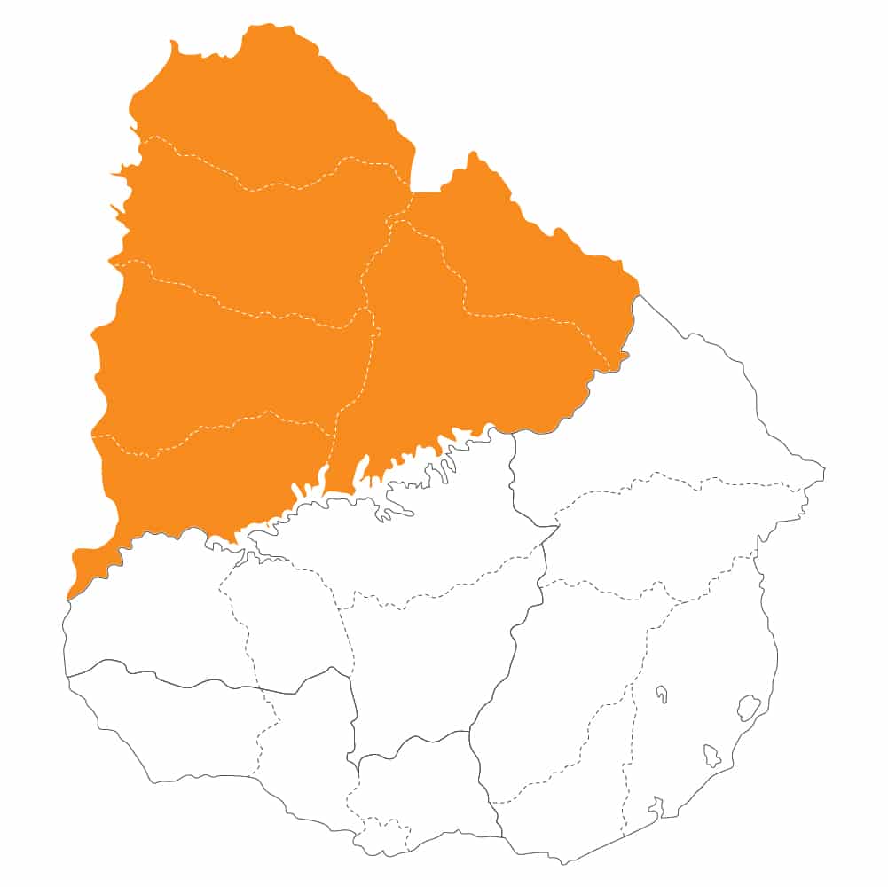Pronóstico Meteorológico - Lanafil
